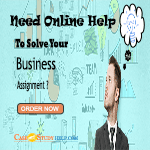 Solve Your Business Assignment Online With Expert | Essay Assignment ...