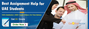 Best Assignment Help for UAE Students - For A+ Grades